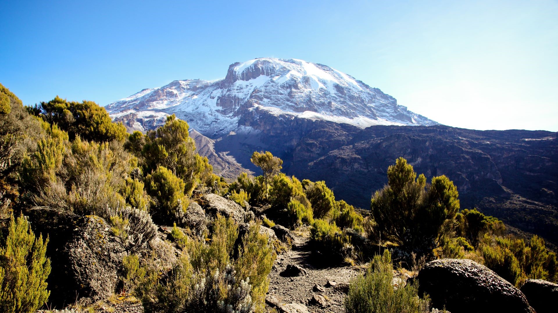 6 Days Umbwe Route – Challenge Yourself on Kilimanjaro’s Steepest Path ...
